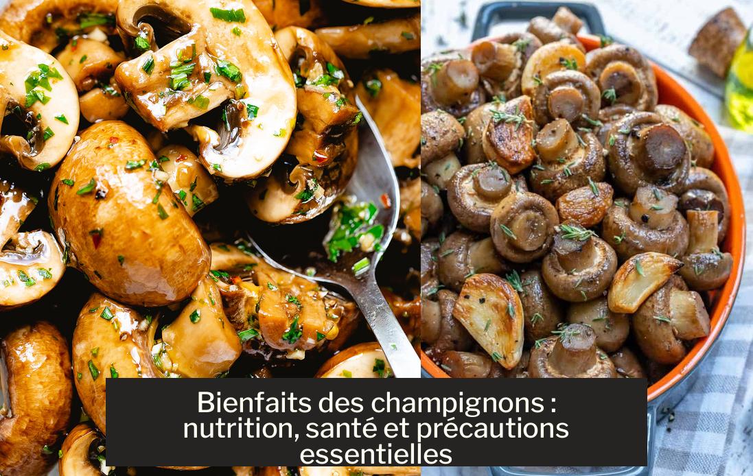 Bienfaits des champignons : nutrition, santé et précautions ...