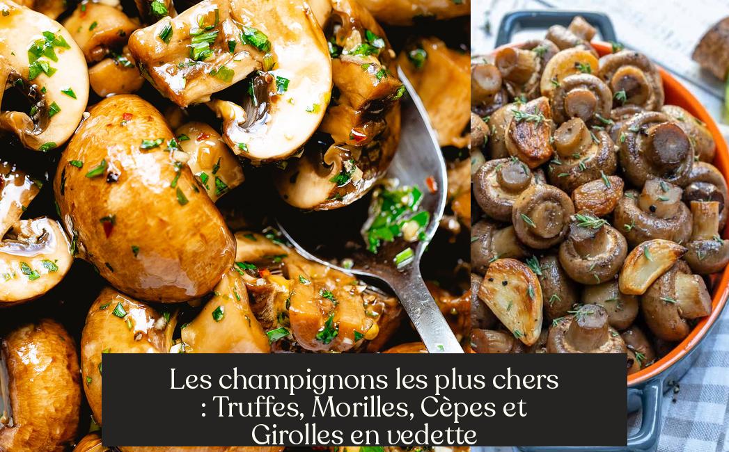 Les champignons les plus chers : Truffes, Morilles, Cèpes et Girolles ...