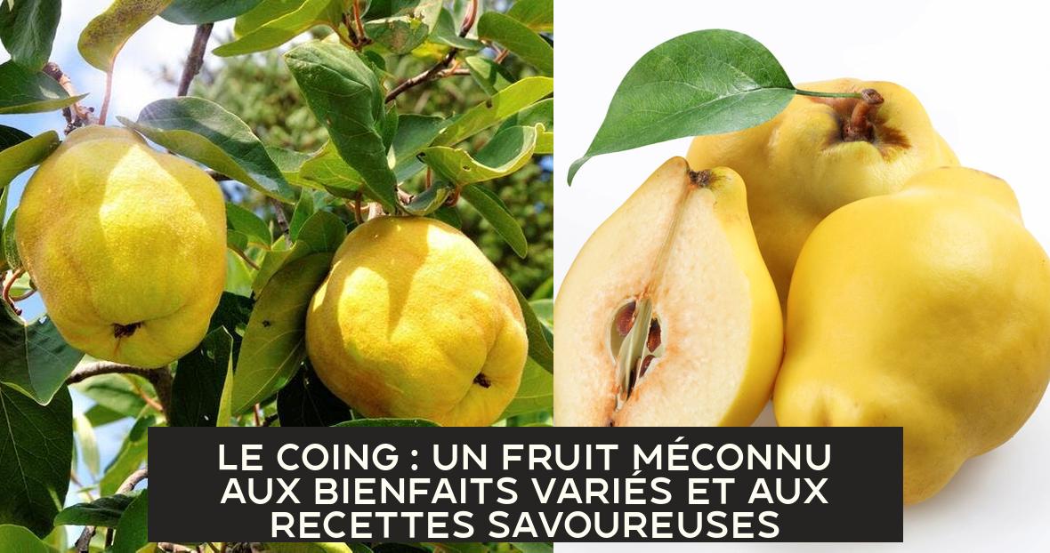 Le coing : un fruit méconnu aux bienfaits variés et aux recettes ...