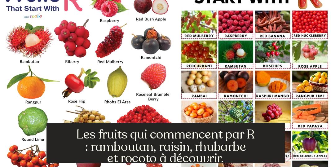 Les fruits qui commencent par R : ramboutan, raisin, rhubarbe et rocoto ...