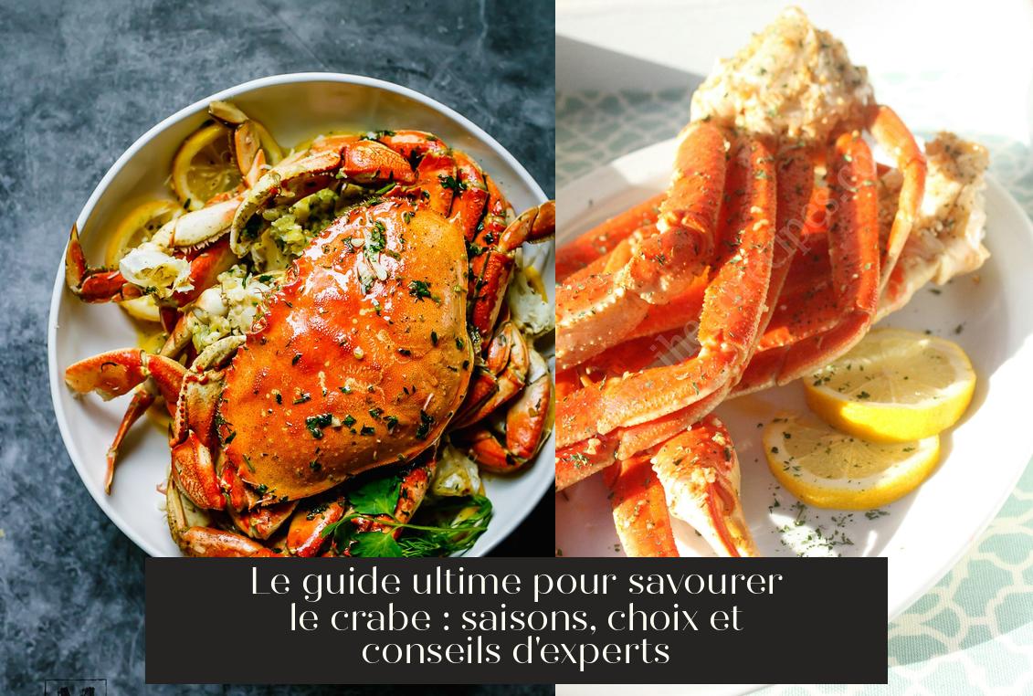 Le guide ultime pour savourer le crabe : saisons, choix et conseils d ...