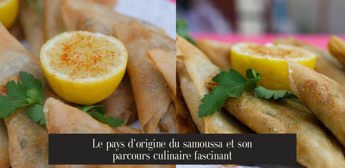 Le pays d'origine du samoussa et son parcours culinaire fascinant ...