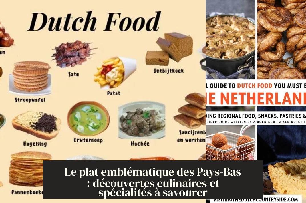 Le plat emblématique des Pays-Bas : découvertes culinaires et ...