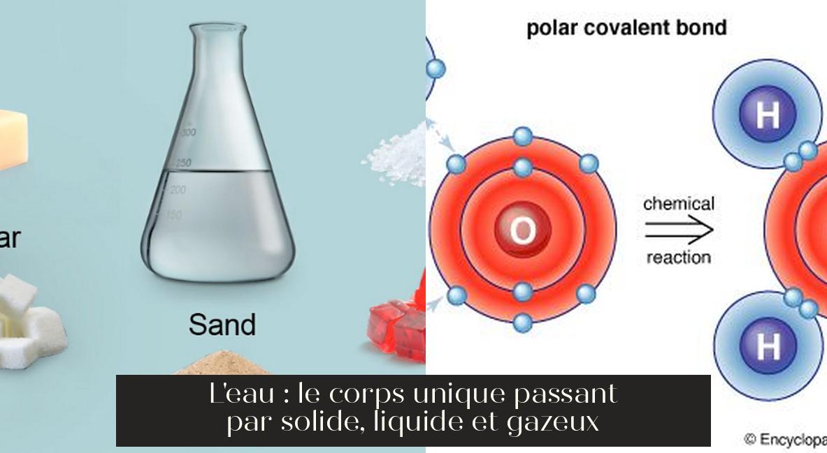 L'eau : le corps unique passant par solide, liquide et gazeux | Carrée ...