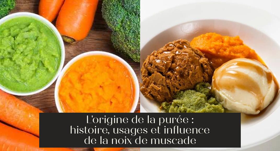 L'origine de la purée : histoire, usages et influence de la noix de ...