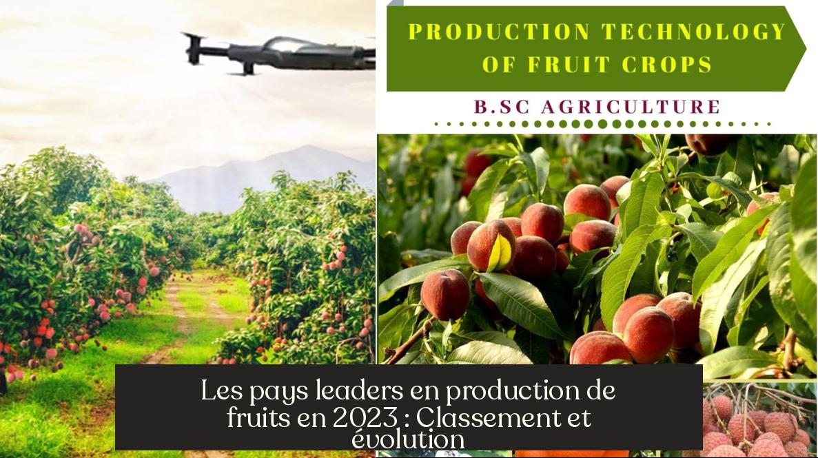 Les pays leaders en production de fruits en 2023 : Classement et ...