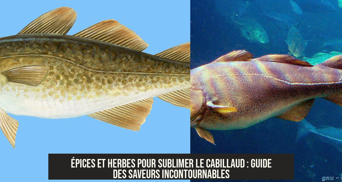 Épices et herbes pour sublimer le cabillaud : guide des saveurs ...
