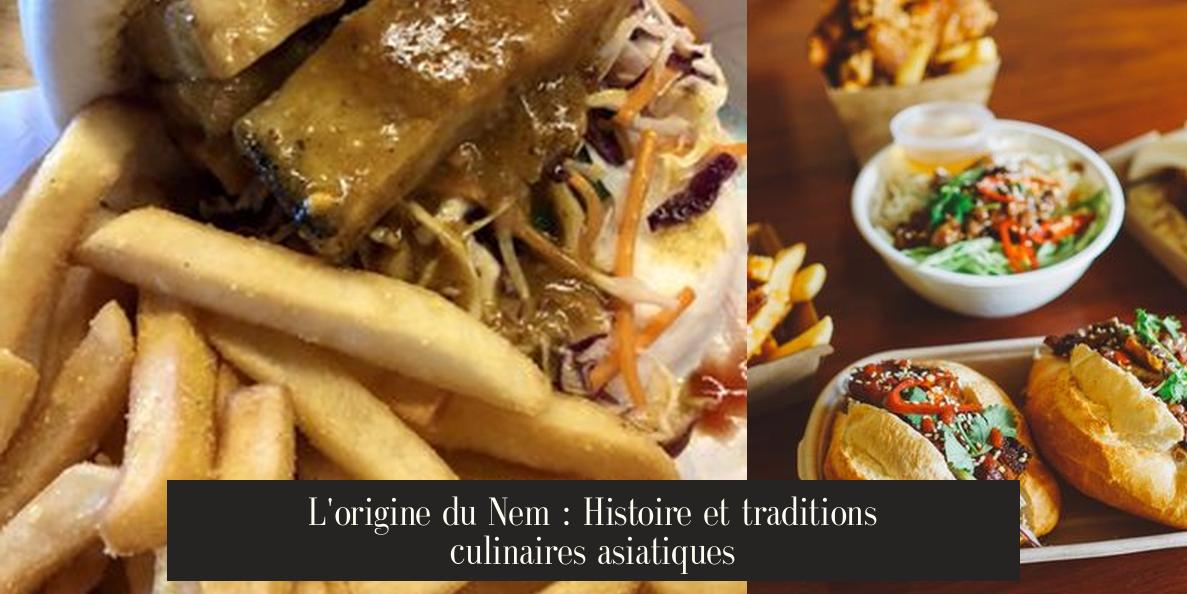 L'origine du Nem : Histoire et traditions culinaires asiatiques ...