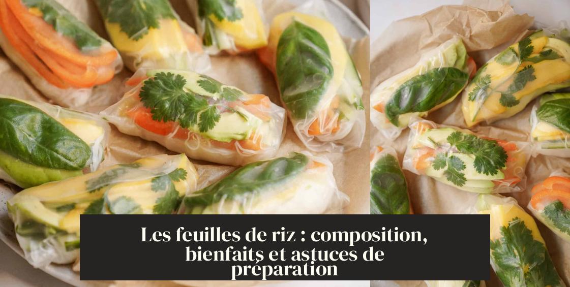 Les feuilles de riz : composition, bienfaits et astuces de préparation ...