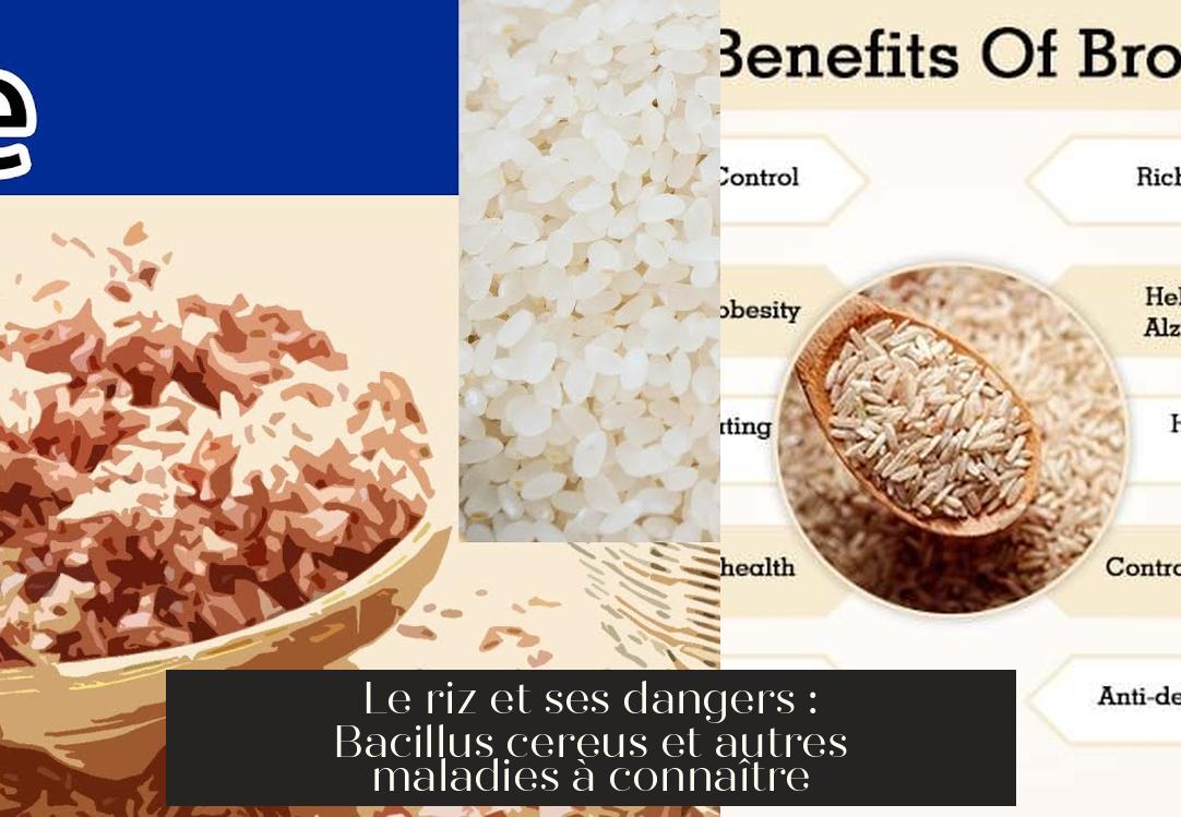 Le riz et ses dangers : Bacillus cereus et autres maladies à connaître ...