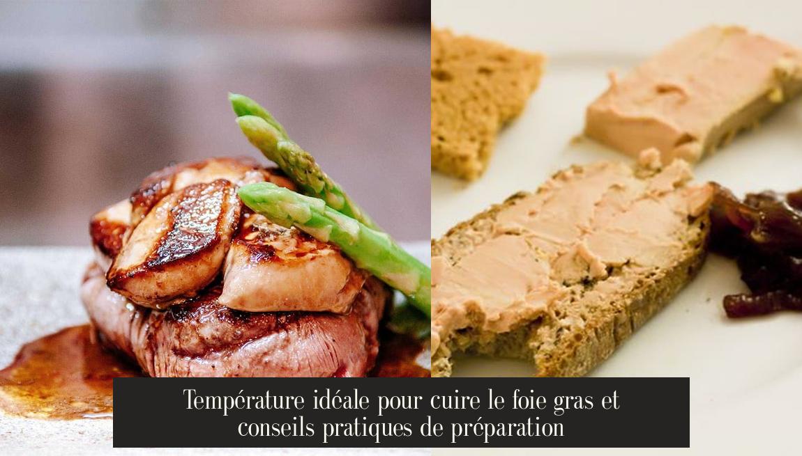 Température idéale pour cuire le foie gras et conseils pratiques de ...