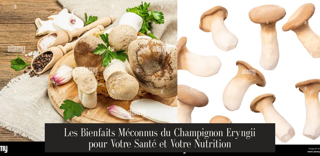 Les Bienfaits Méconnus du Champignon Eryngii pour Votre Santé et Votre ...