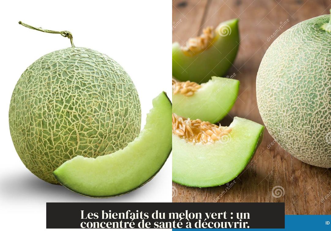 Les bienfaits du melon vert : un concentré de santé à découvrir ...
