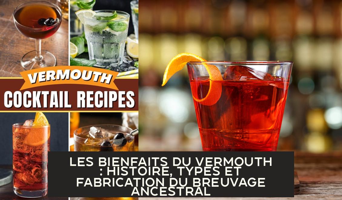 Les bienfaits du vermouth : histoire, types et fabrication du breuvage ...