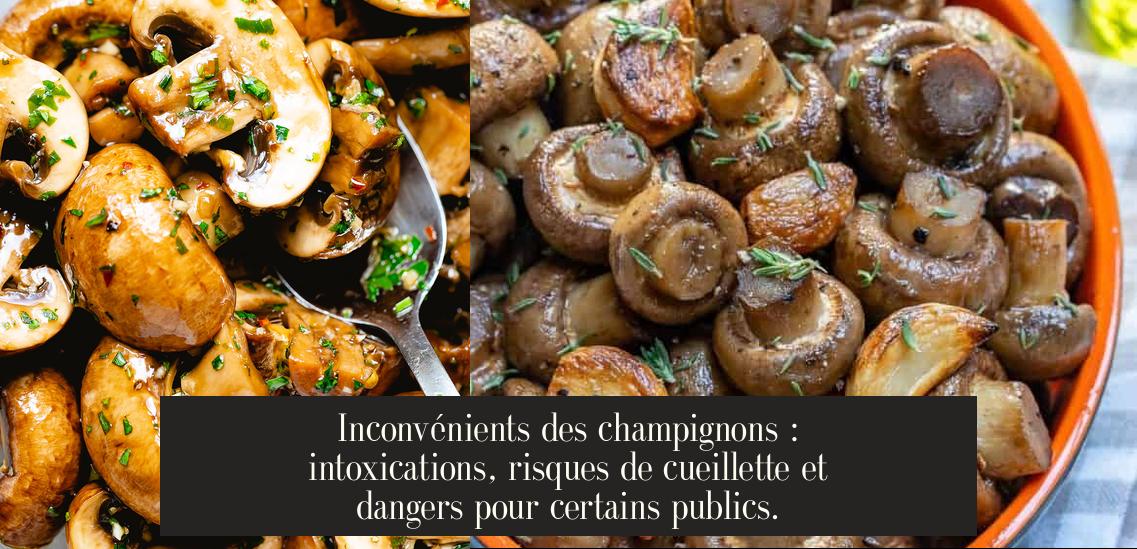 Inconvénients des champignons : intoxications, risques de cueillette et ...