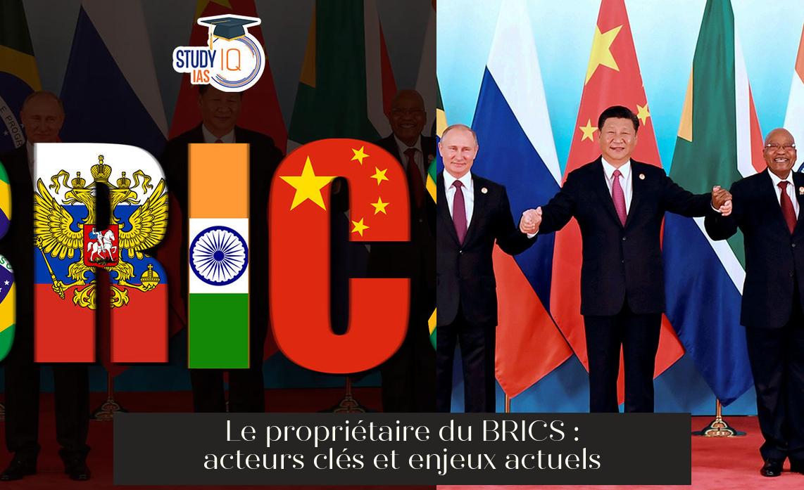 Le propriétaire du BRICS : acteurs clés et enjeux actuels | Carrée ...