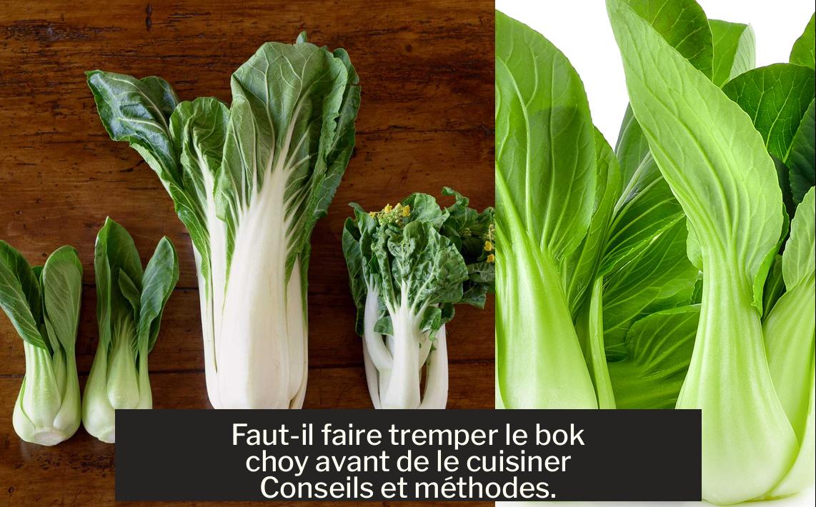 Faut-il faire tremper le bok choy avant de le cuisiner ? Conseils et ...