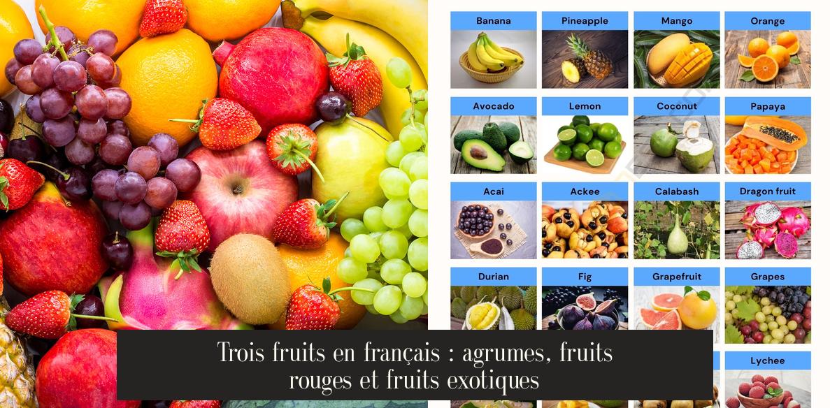 Trois fruits en français : agrumes, fruits rouges et fruits exotiques ...