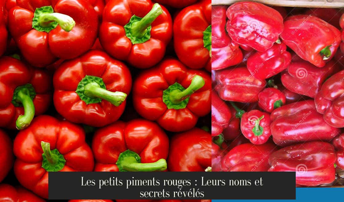 Les petits piments rouges : Leurs noms et secrets révélés | Carrée ...