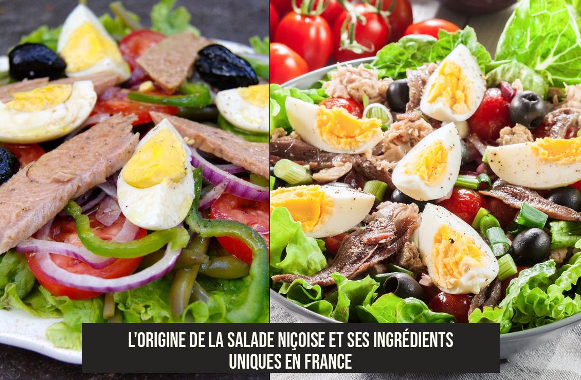 L'origine de la Salade Niçoise et ses ingrédients uniques en France ...