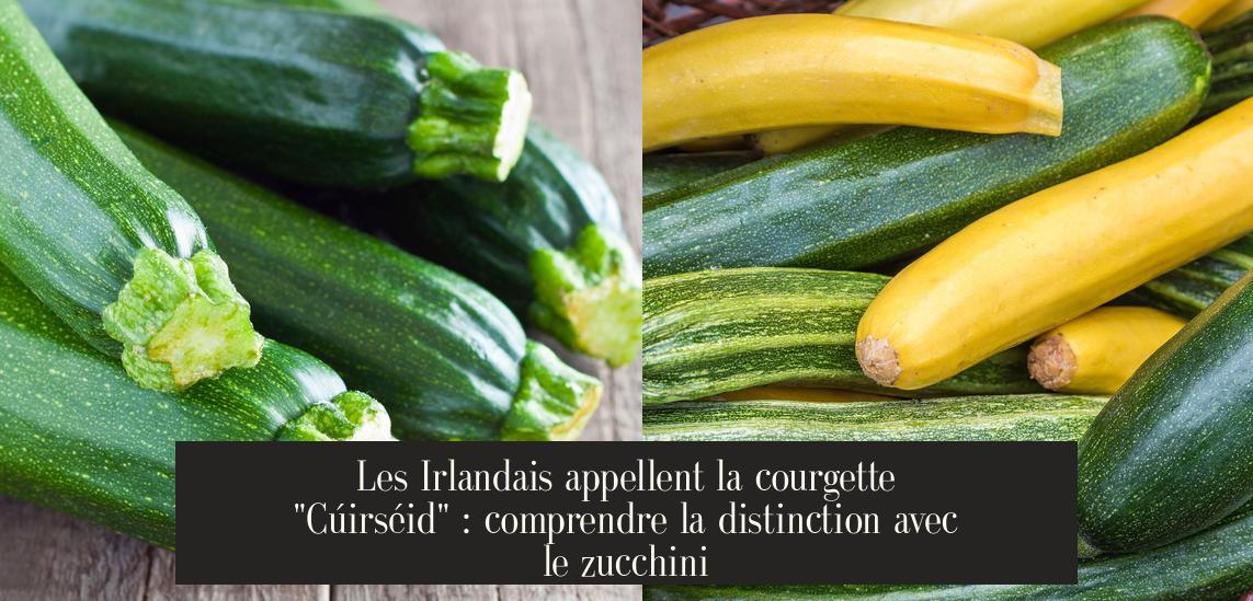Les Irlandais appellent la courgette "Cúirséid" : comprendre la ...