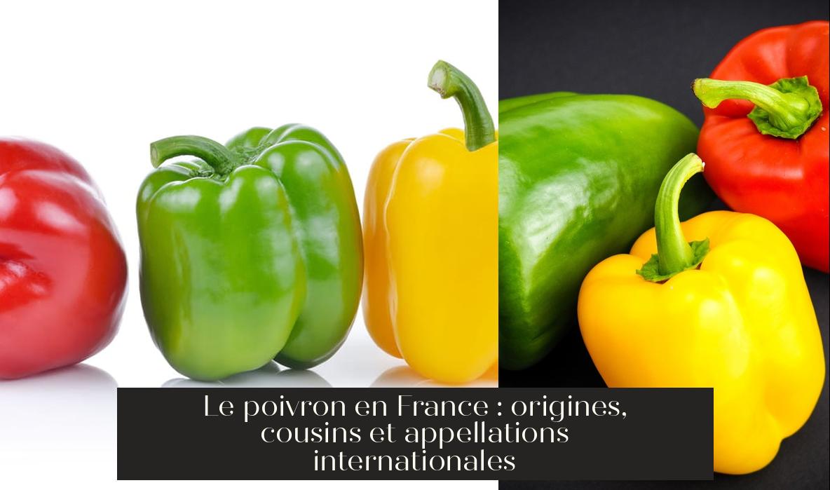 Le poivron en France : origines, cousins et appellations ...