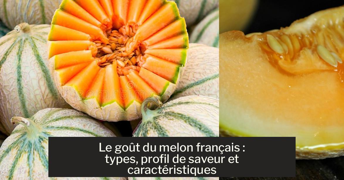 Le goût du melon français : types, profil de saveur et caractéristiques ...