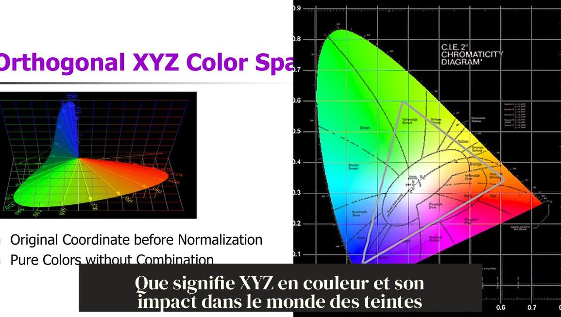 Que signifie XYZ en couleur et son impact dans le monde des teintes ...