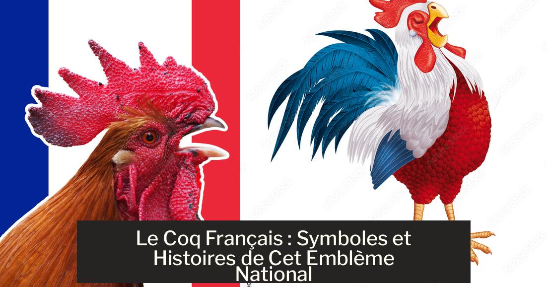 Le Coq Français : Symboles et Histoires de Cet Emblème National ...