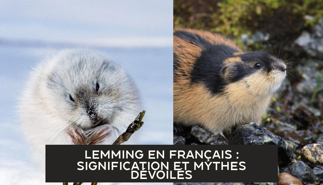 Lemming en Français : Signification et Mythes Dévoilés | Carrée ...