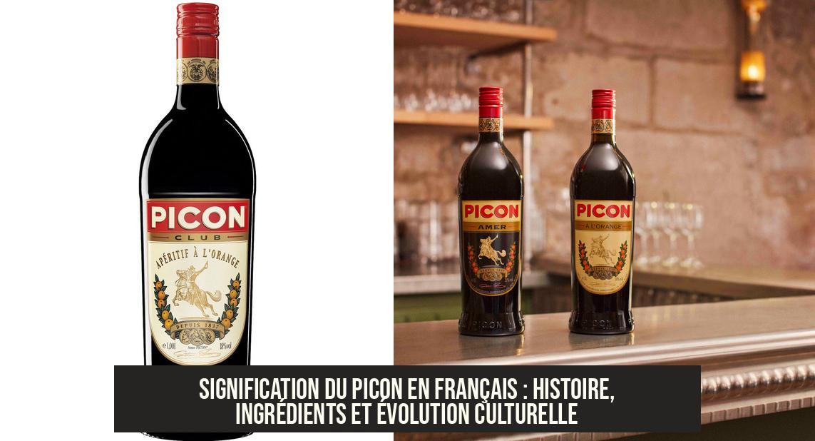 Signification du Picon en français : histoire, ingrédients et évolution ...