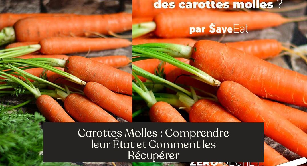 Carottes Molles : Comprendre leur État et Comment les Récupérer ...