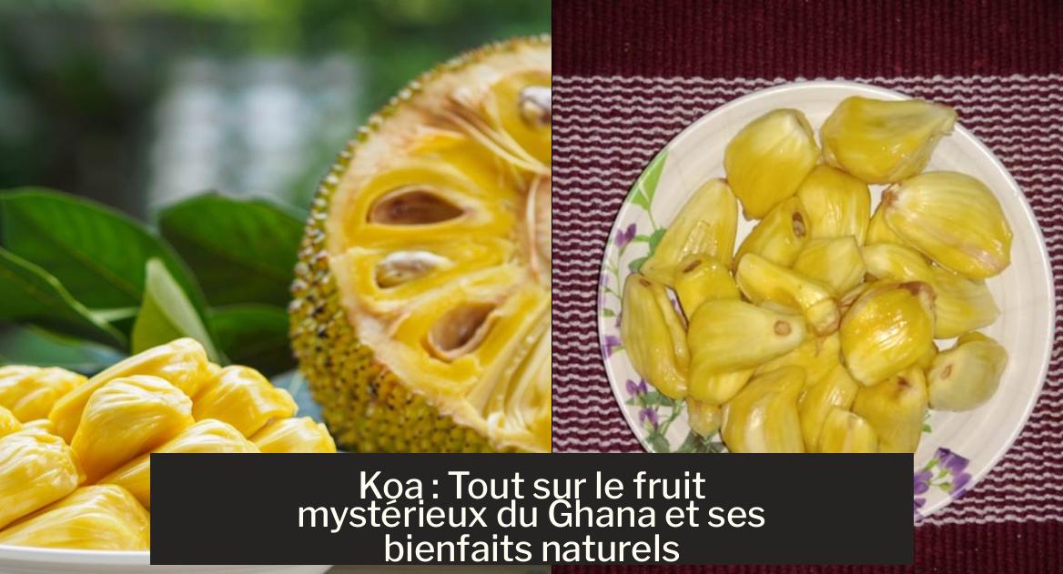 Koa : Tout sur le fruit mystérieux du Ghana et ses bienfaits naturels ...
