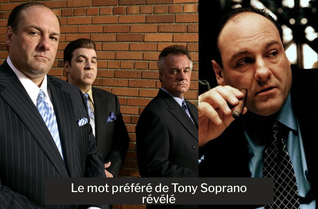 Le mot préféré de Tony Soprano révélé | Carrée | Recettes du Monde ...