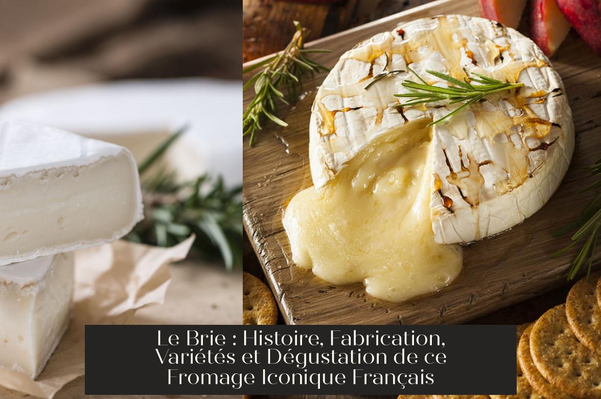 Le Brie : Histoire, Fabrication, Variétés et Dégustation de ce Fromage ...
