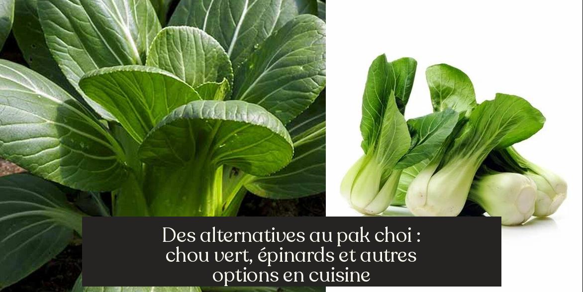 Des alternatives au pak choi : chou vert, épinards et autres options en ...