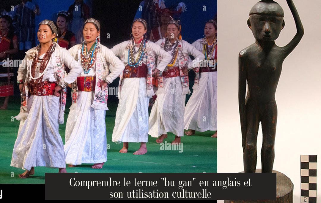 Comprendre le terme "bu gan" en anglais et son utilisation culturelle ...