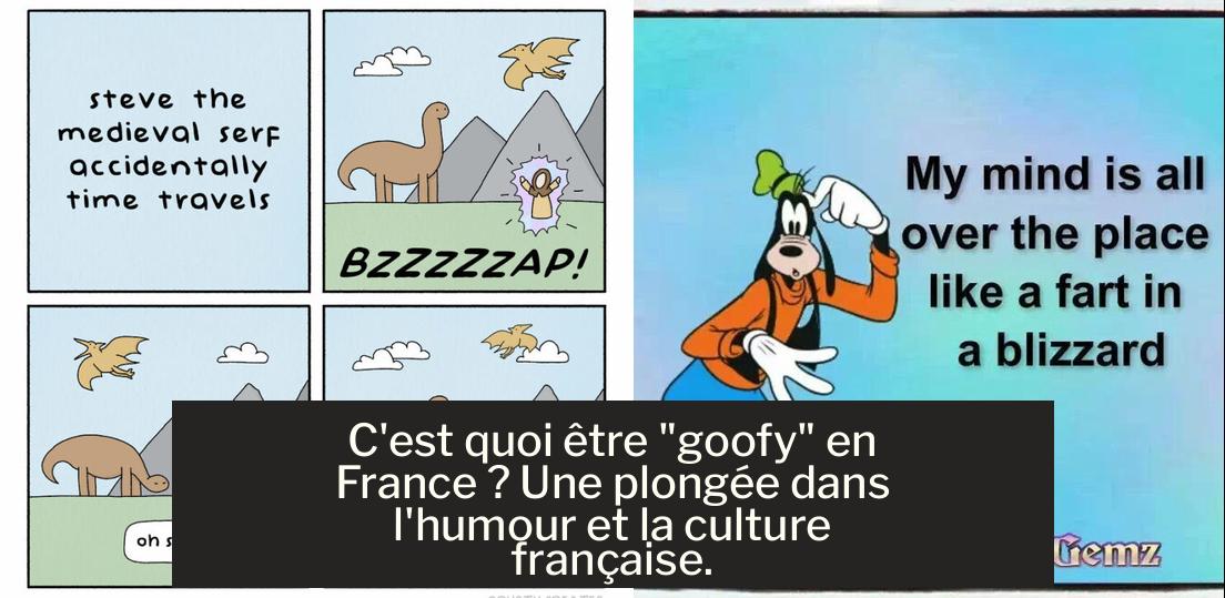 C'est quoi être "goofy" en France ? Une plongée dans l'humour et la ...