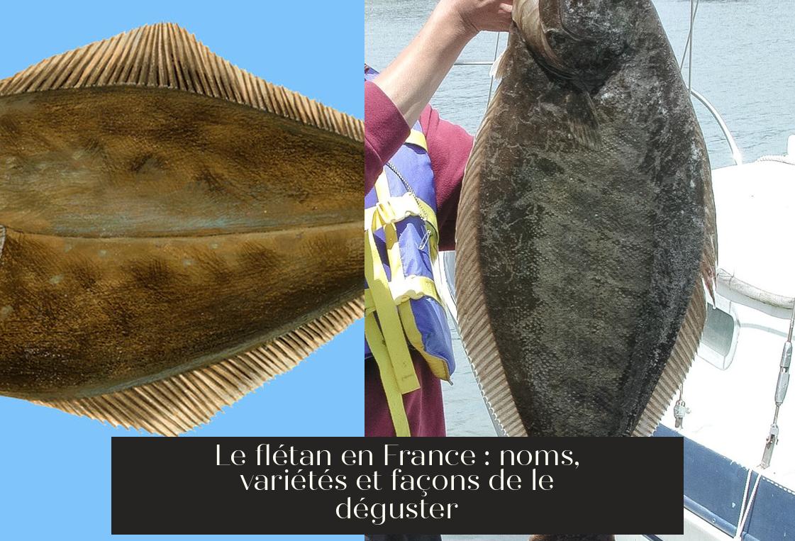 Le flétan en France : noms, variétés et façons de le déguster | Carrée ...