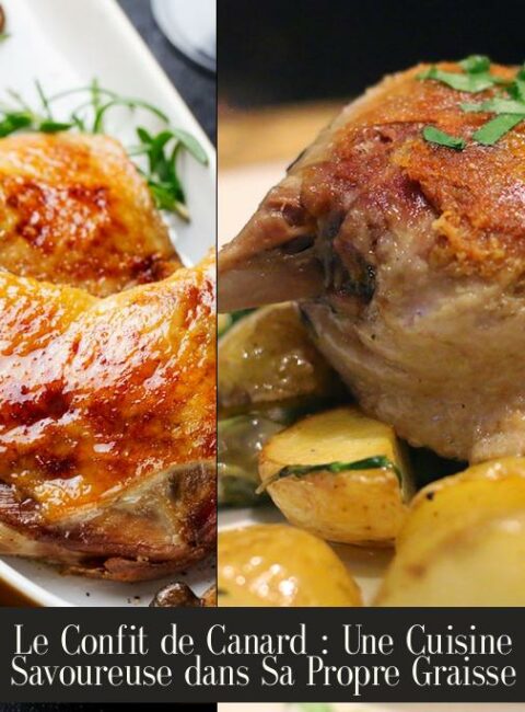 Guide complet sur la température de cuisson pour un four et conseils ...