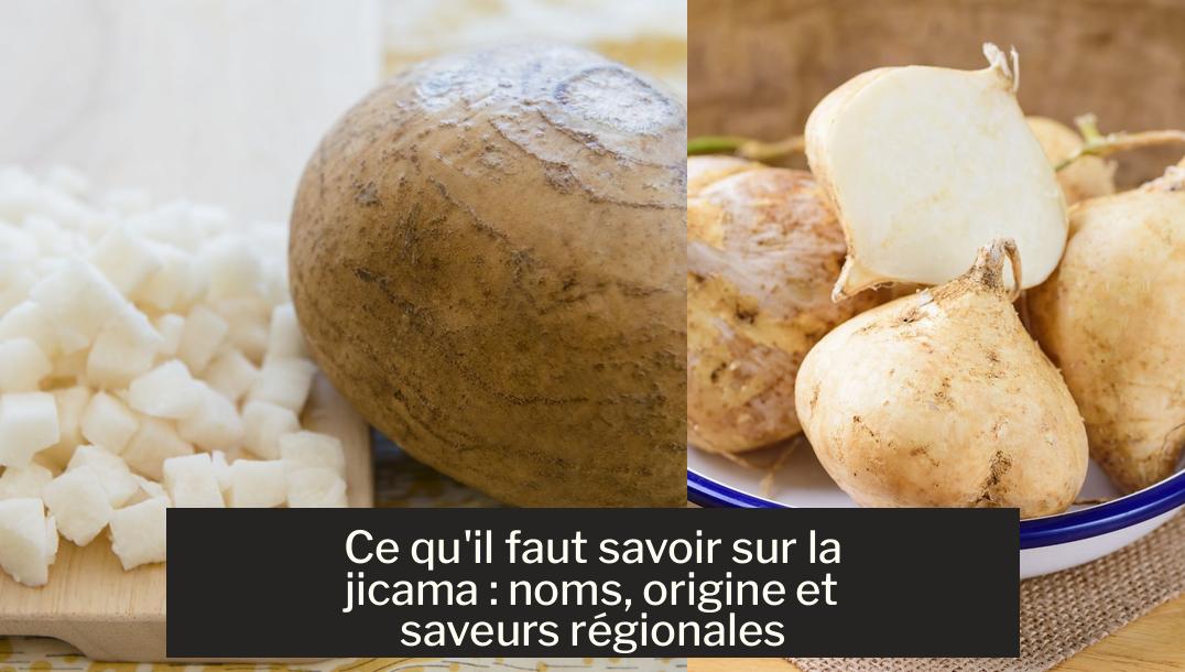 Ce qu'il faut savoir sur la jicama : noms, origine et saveurs ...
