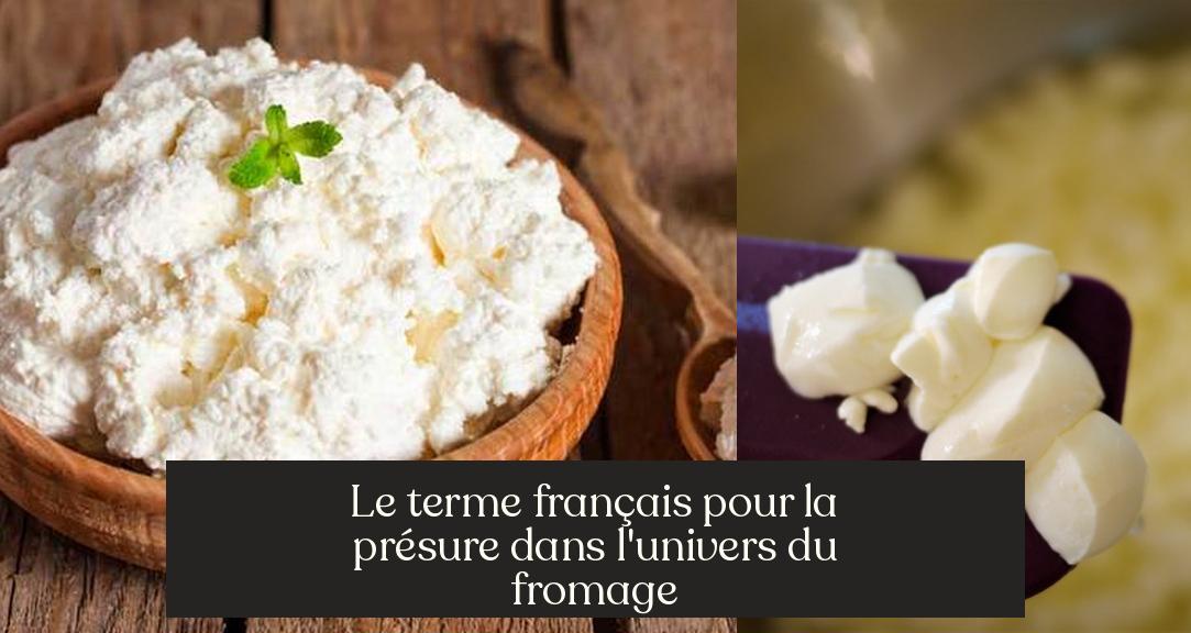 Le terme français pour la présure dans l'univers du fromage | Carrée ...