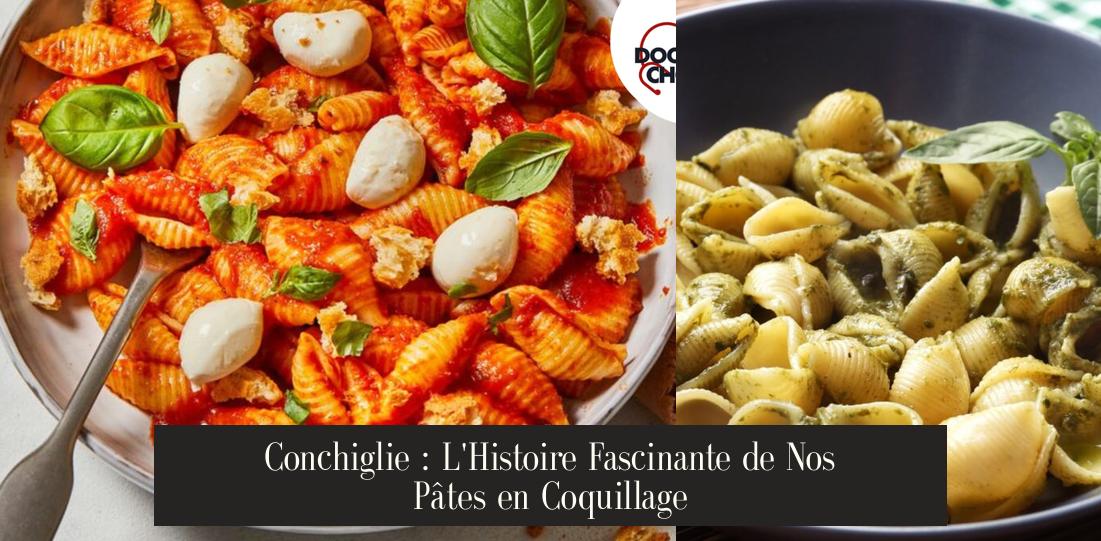 Conchiglie : L'Histoire Fascinante de Nos Pâtes en Coquillage | Carrée ...