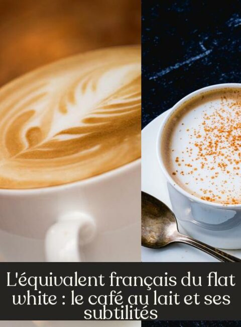 Maïs, Corn, Maize : Comprendre les différentes facettes et ...