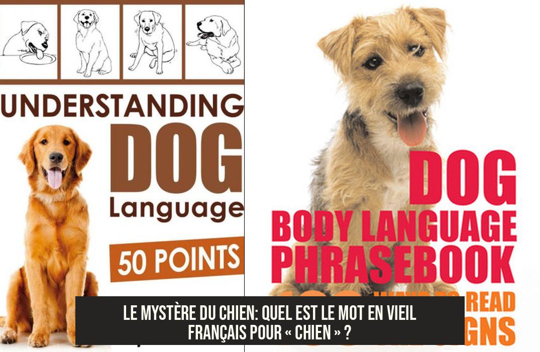 Le Mystère du Chien: Quel Est le Mot en Vieil Français pour « Chien ...