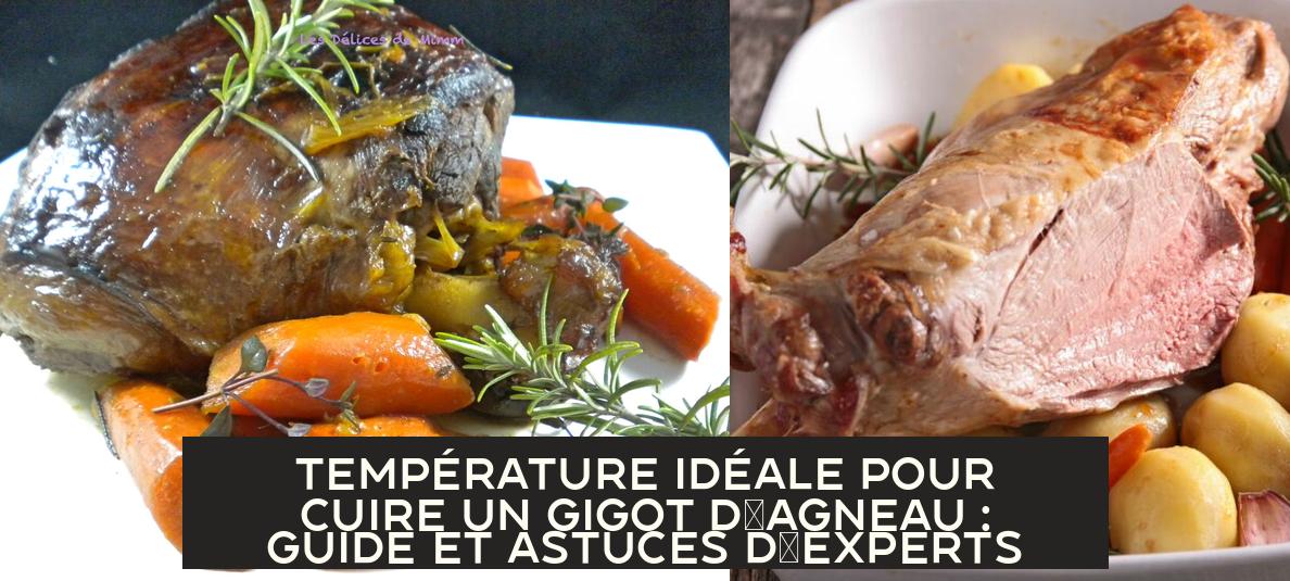 Température Idéale pour Cuire un Gigot d'Agneau : Guide et Astuces d ...