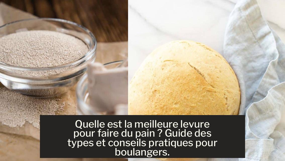 Quelle est la meilleure levure pour faire du pain ? Guide des types et ...