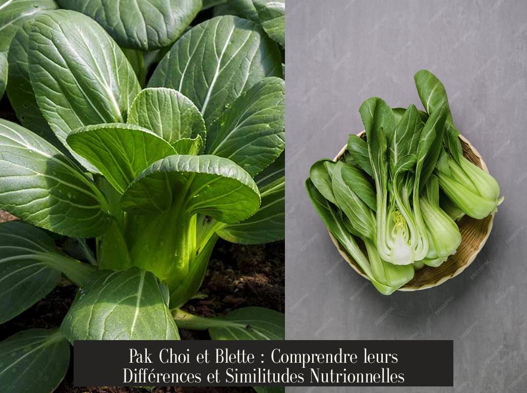 Pak Choi et Blette : Comprendre leurs Différences et Similitudes ...
