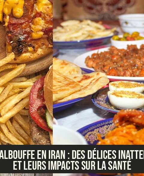 Le Fromage le Plus Riche en Matière Grasse : Top 10 et Alternatives ...