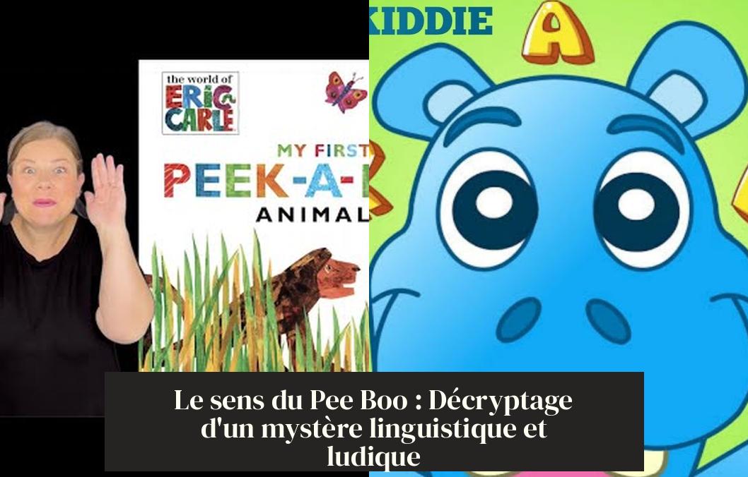 Le sens du Pee Boo : Décryptage d'un mystère linguistique et ludique ...